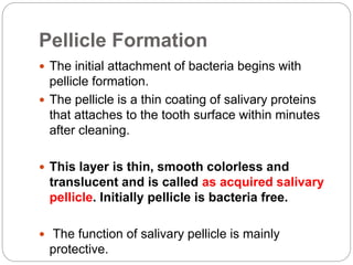 chapter one copy.pptx