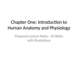 chapter_one_human_anatomy_with_images.pptx