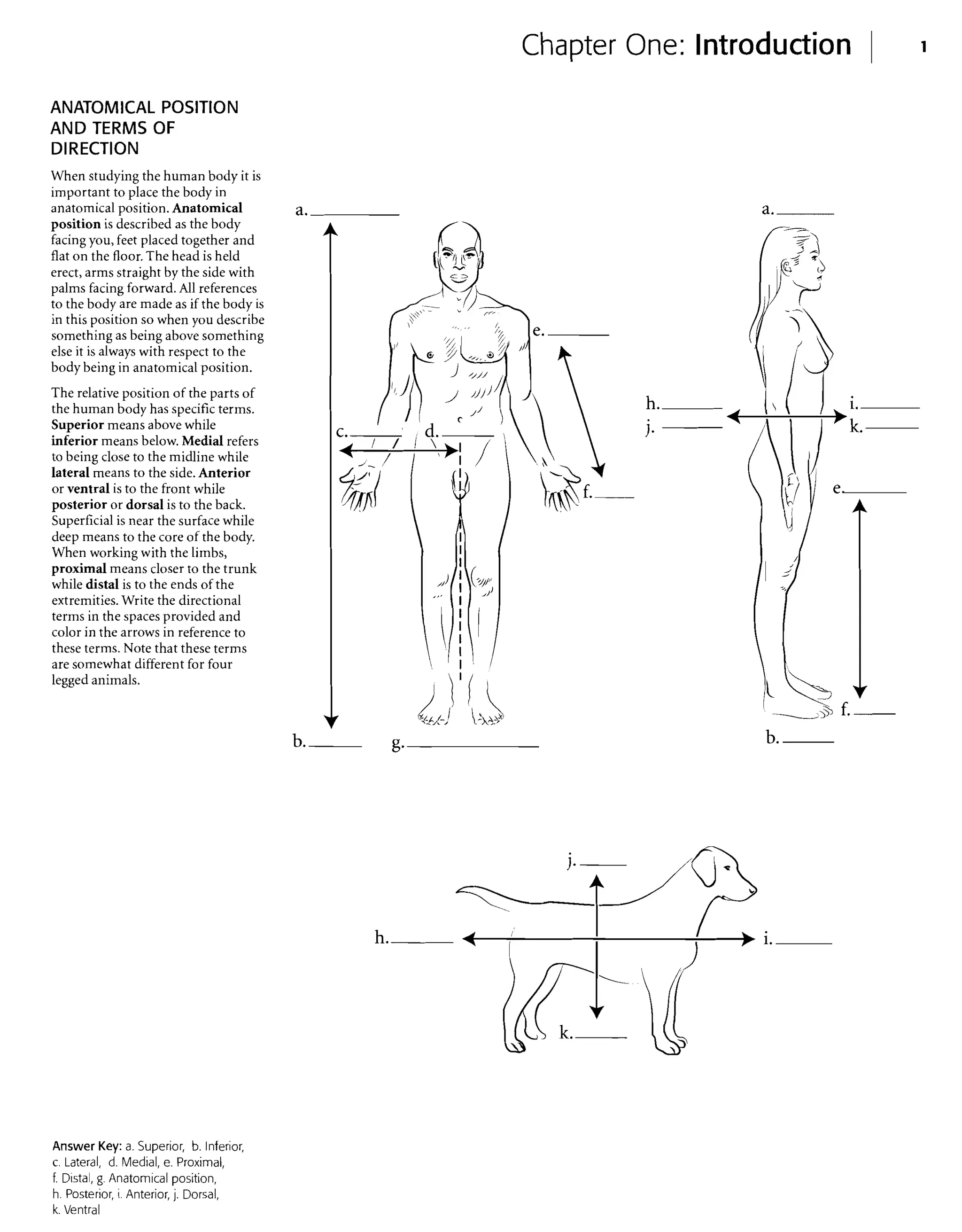 Chapter_One_Introduction_ANATOMICAL_POSI.pdf