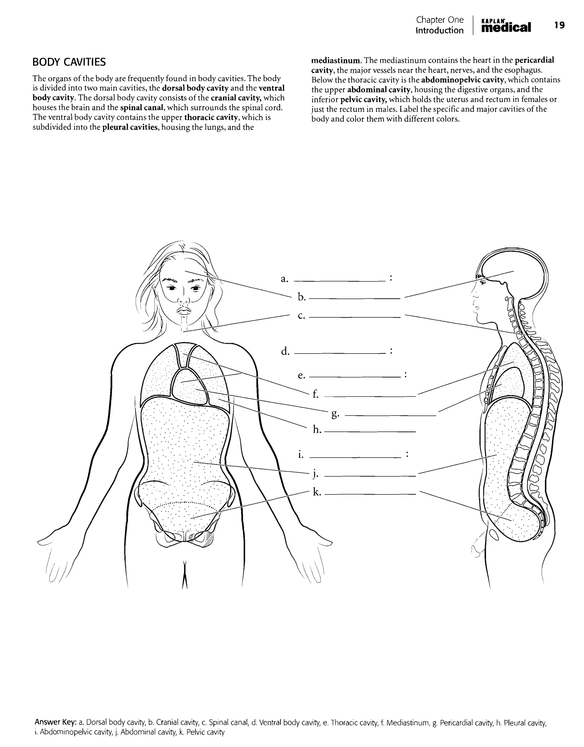 Chapter_One_Introduction_ANATOMICAL_POSI.pdf