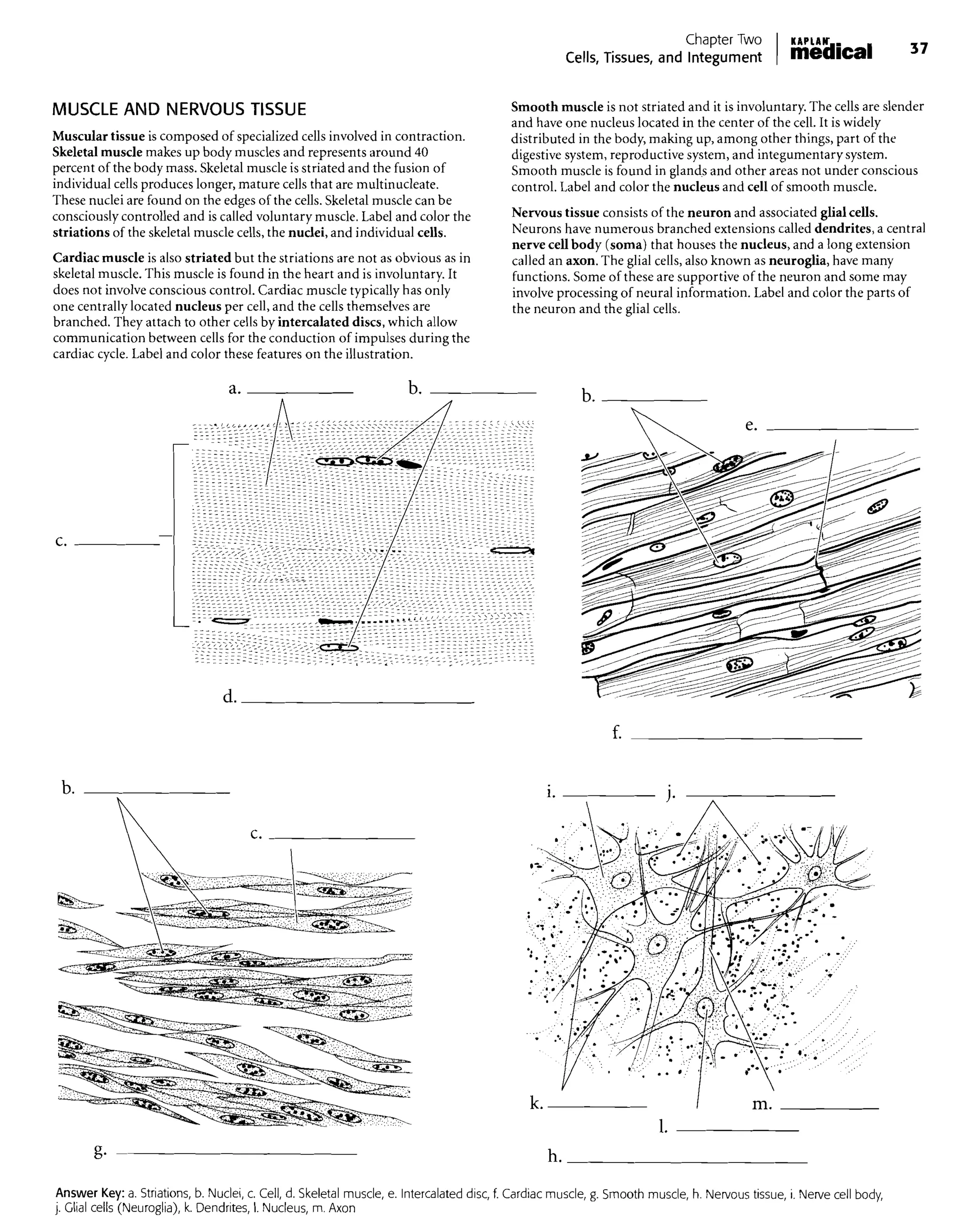 Chapter_One_Introduction_ANATOMICAL_POSI.pdf