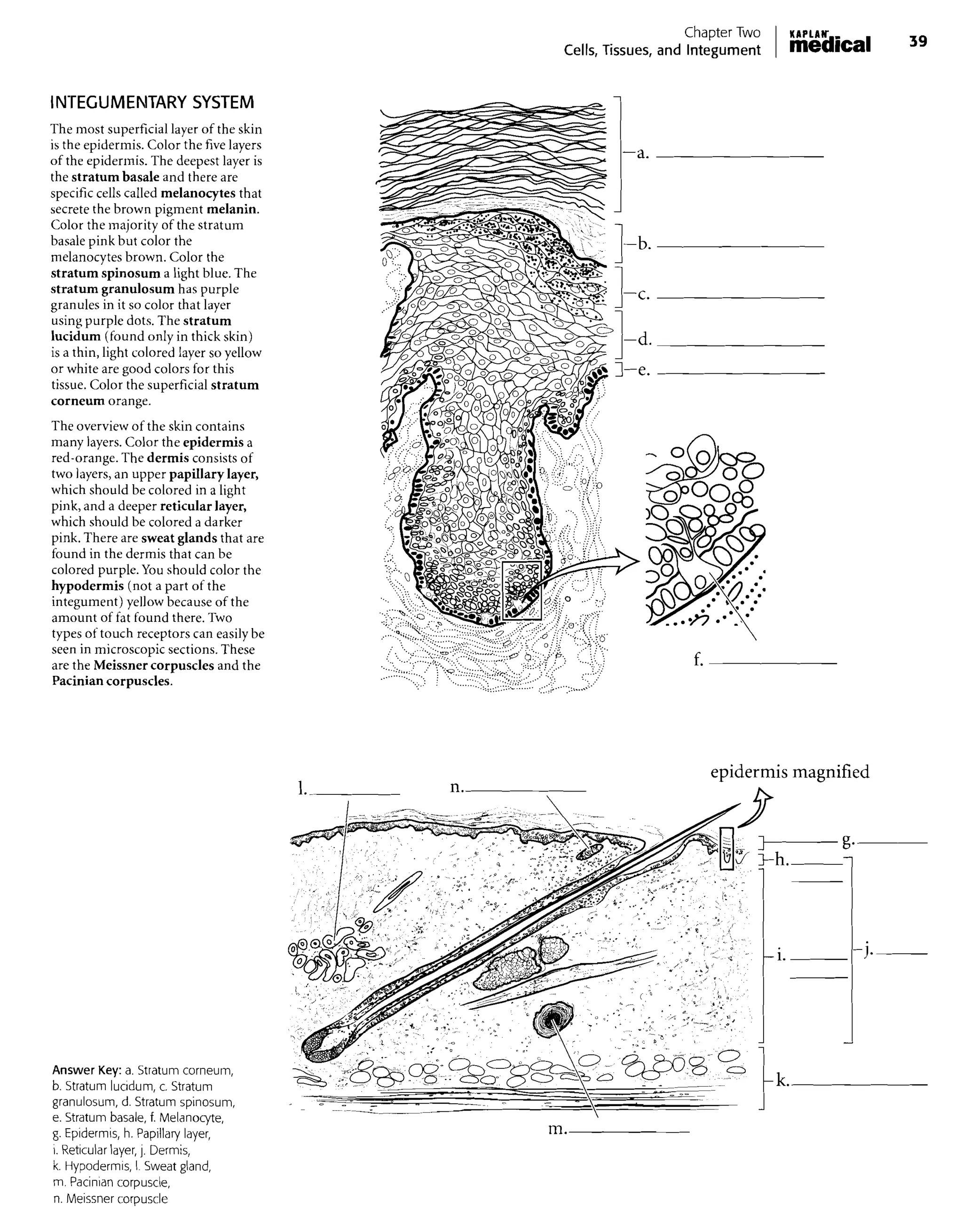 Chapter_One_Introduction_ANATOMICAL_POSI.pdf
