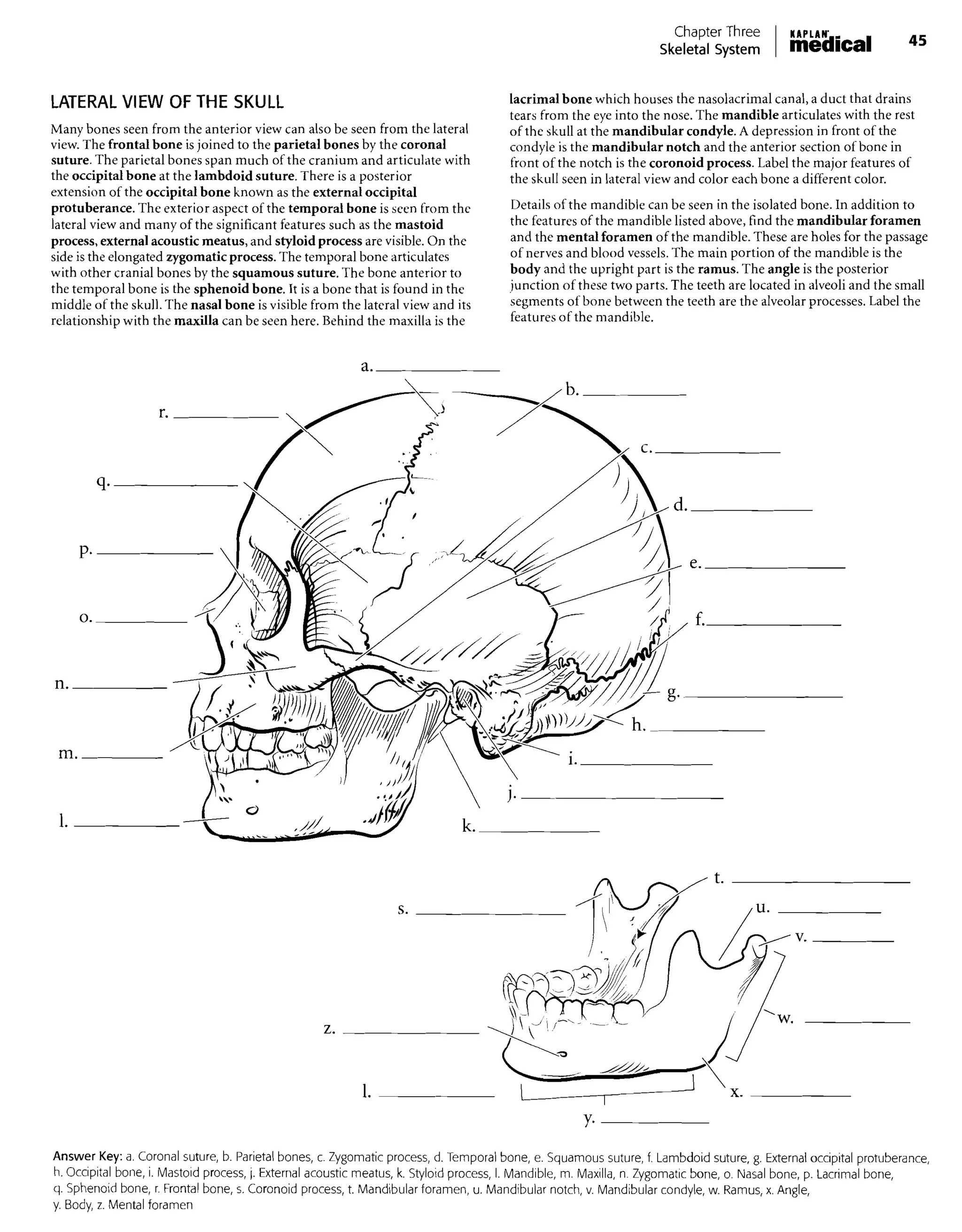 Chapter_One_Introduction_ANATOMICAL_POSI.pdf