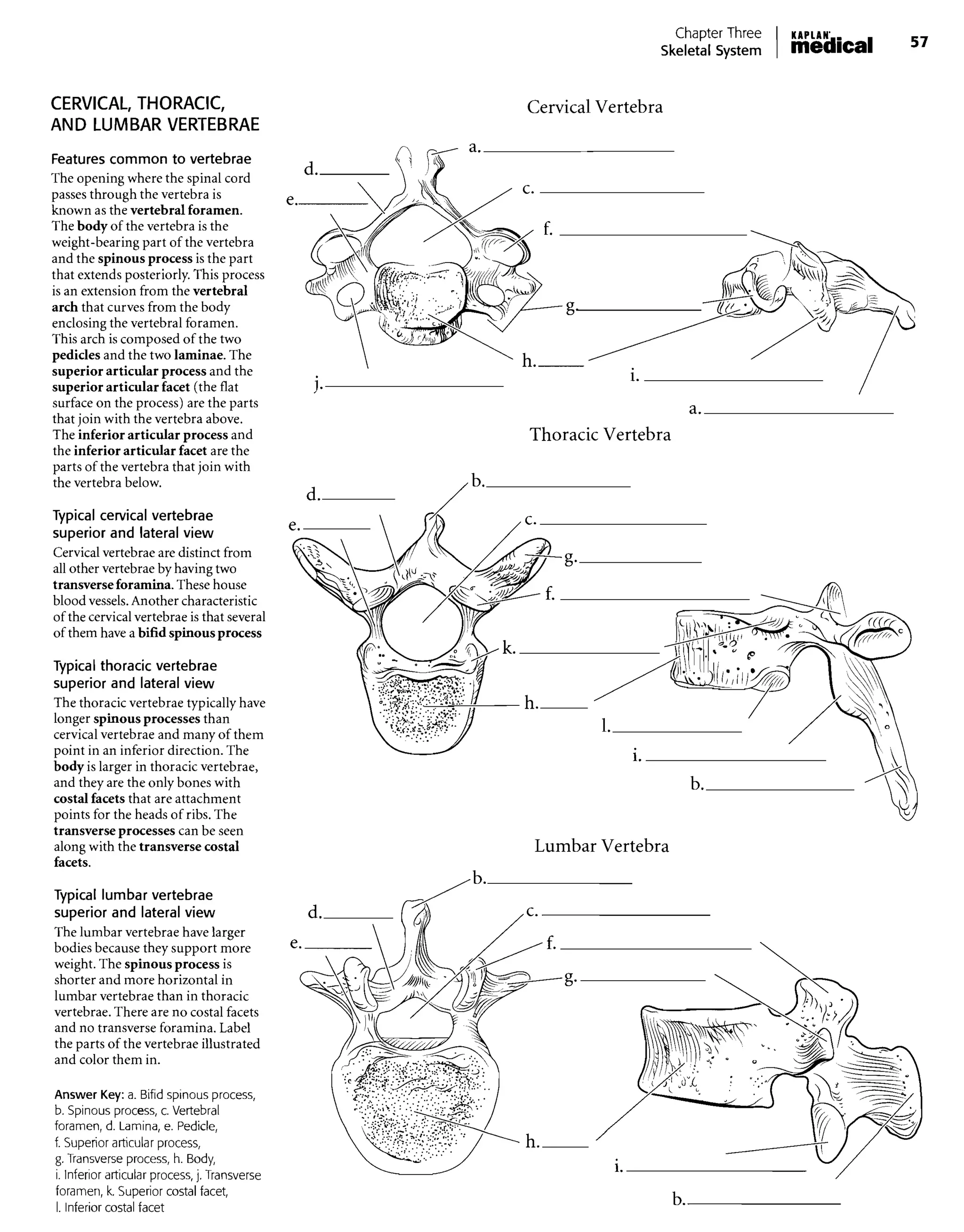 Chapter_One_Introduction_ANATOMICAL_POSI.pdf