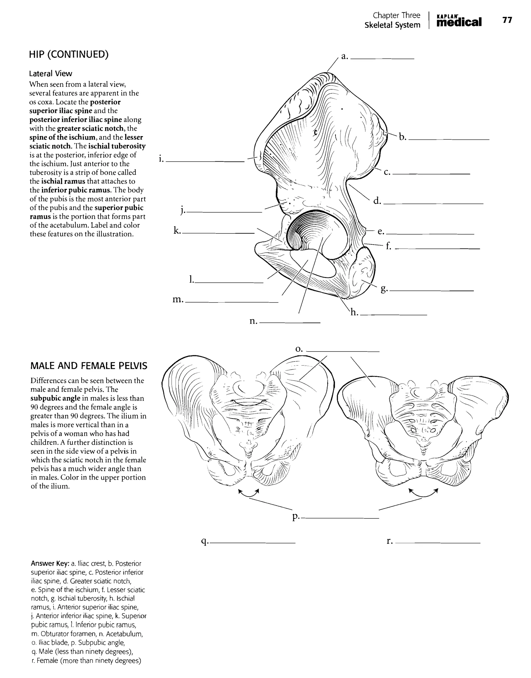 Chapter_One_Introduction_ANATOMICAL_POSI.pdf