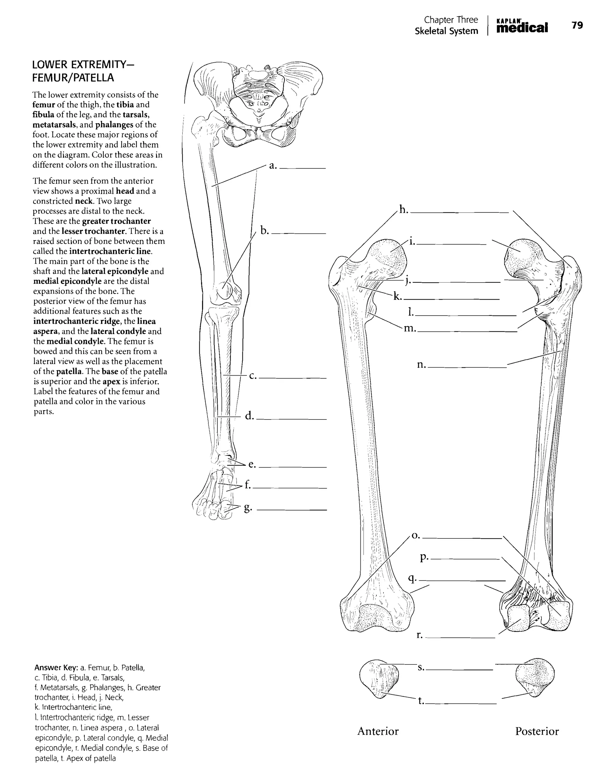 Chapter_One_Introduction_ANATOMICAL_POSI.pdf