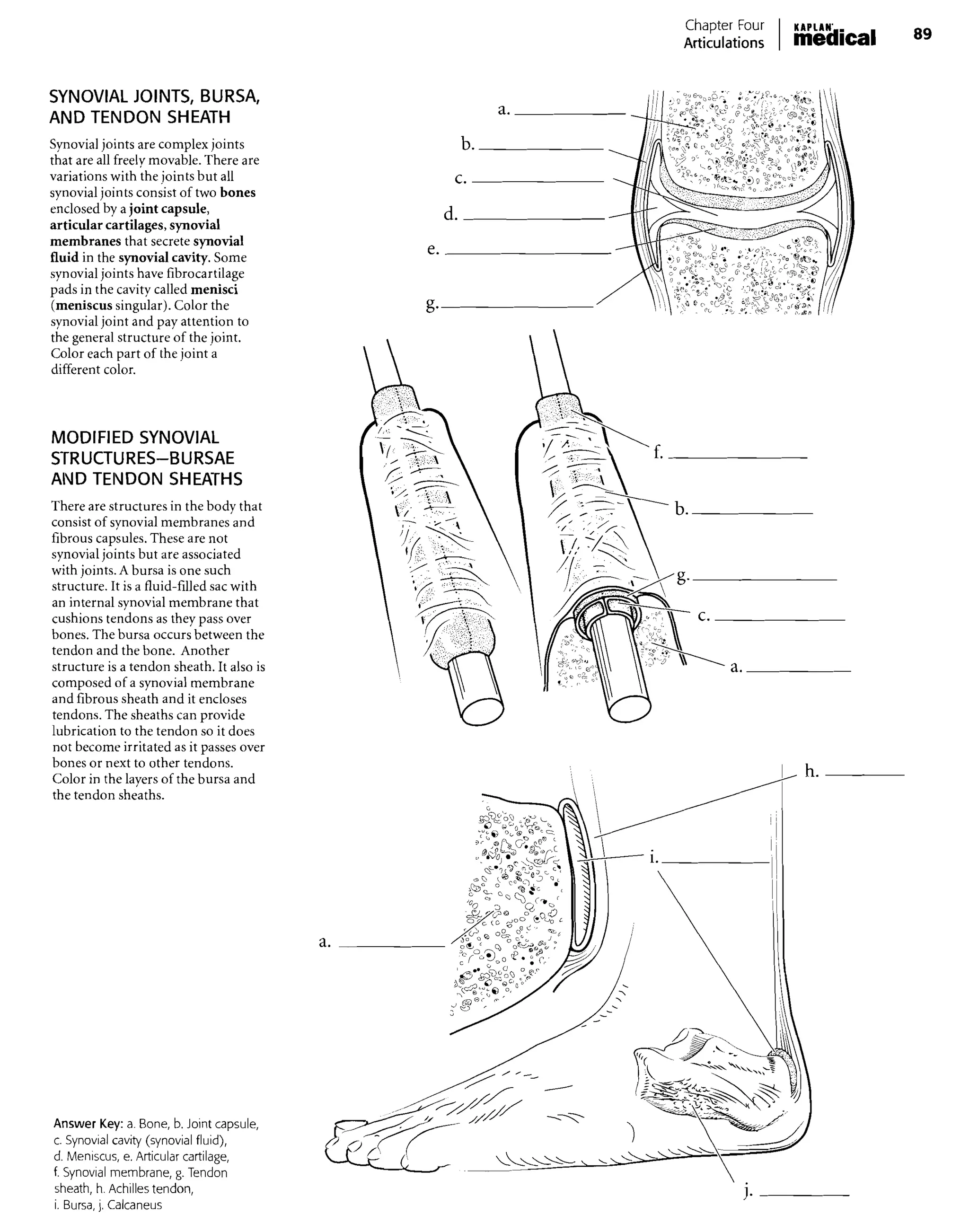 Chapter_One_Introduction_ANATOMICAL_POSI.pdf