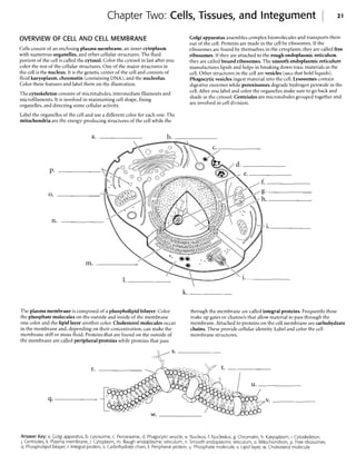 Chapter_One_Introduction_ANATOMICAL_POSI.pdf