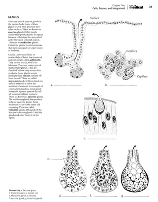 Chapter_One_Introduction_ANATOMICAL_POSI.pdf