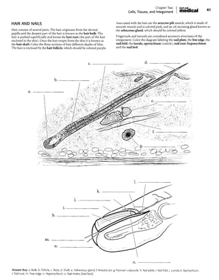 Chapter_One_Introduction_ANATOMICAL_POSI.pdf