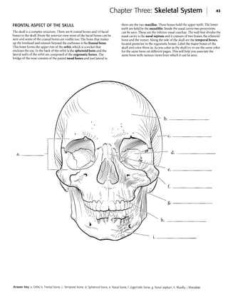 Chapter_One_Introduction_ANATOMICAL_POSI.pdf