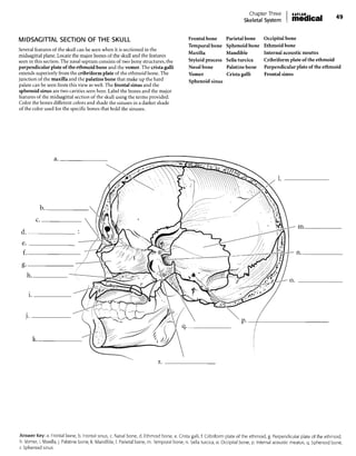 Chapter_One_Introduction_ANATOMICAL_POSI.pdf