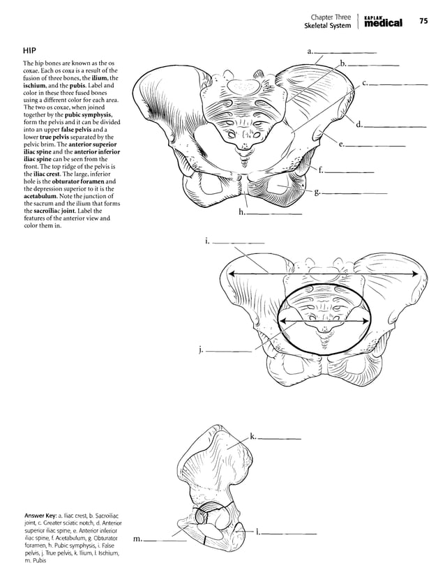 Chapter_One_Introduction_ANATOMICAL_POSI.pdf
