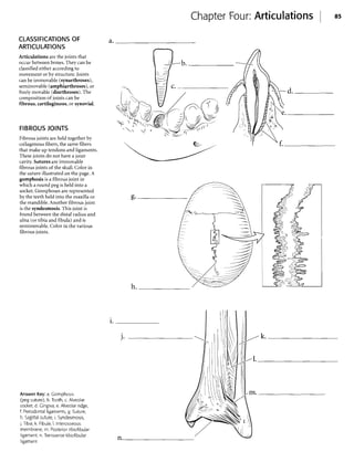 Chapter_One_Introduction_ANATOMICAL_POSI.pdf