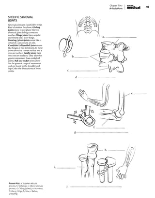 Chapter_One_Introduction_ANATOMICAL_POSI.pdf