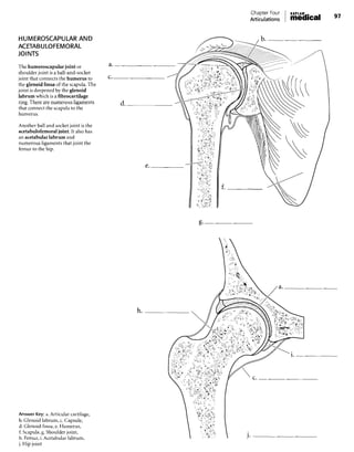 Chapter_One_Introduction_ANATOMICAL_POSI.pdf