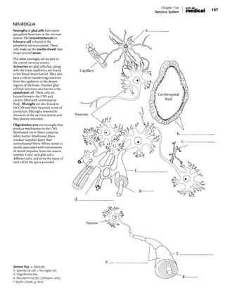 Chapter_One_Introduction_ANATOMICAL_POSI.pdf