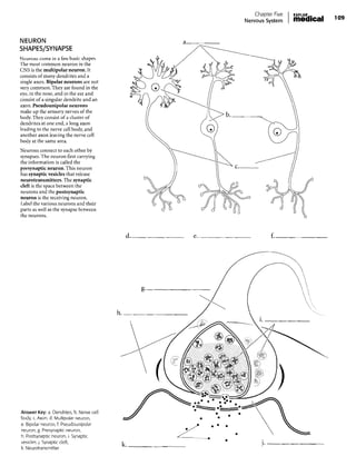 Chapter_One_Introduction_ANATOMICAL_POSI.pdf