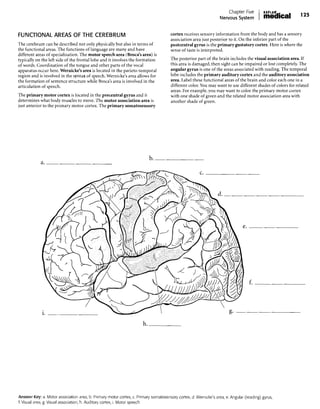 Chapter_One_Introduction_ANATOMICAL_POSI.pdf