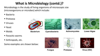 Introduction to Microbiology | PPT