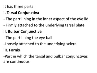 It is chapter one for good opthalmology.pptx