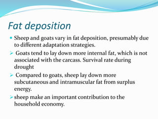 unit 1 : introduction of sheep and goat rearing | PPTX