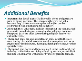 unit 1 : introduction of sheep and goat rearing | PPTX