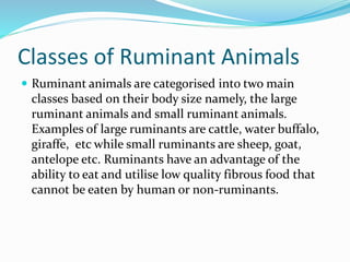 unit 1 : introduction of sheep and goat rearing | PPTX