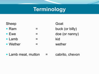 unit 1 : introduction of sheep and goat rearing | PPTX
