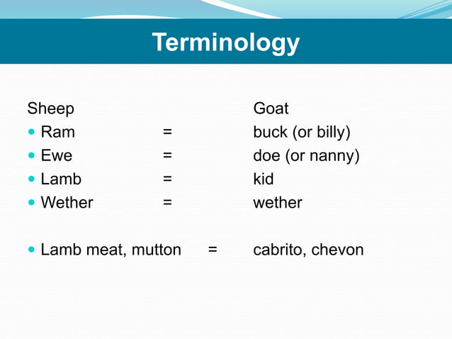 unit 1 : introduction of sheep and goat rearing | PPTX | Pet Supplies ...