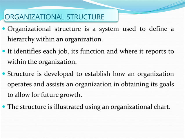 CHAPTER ORGANIZING.ppt