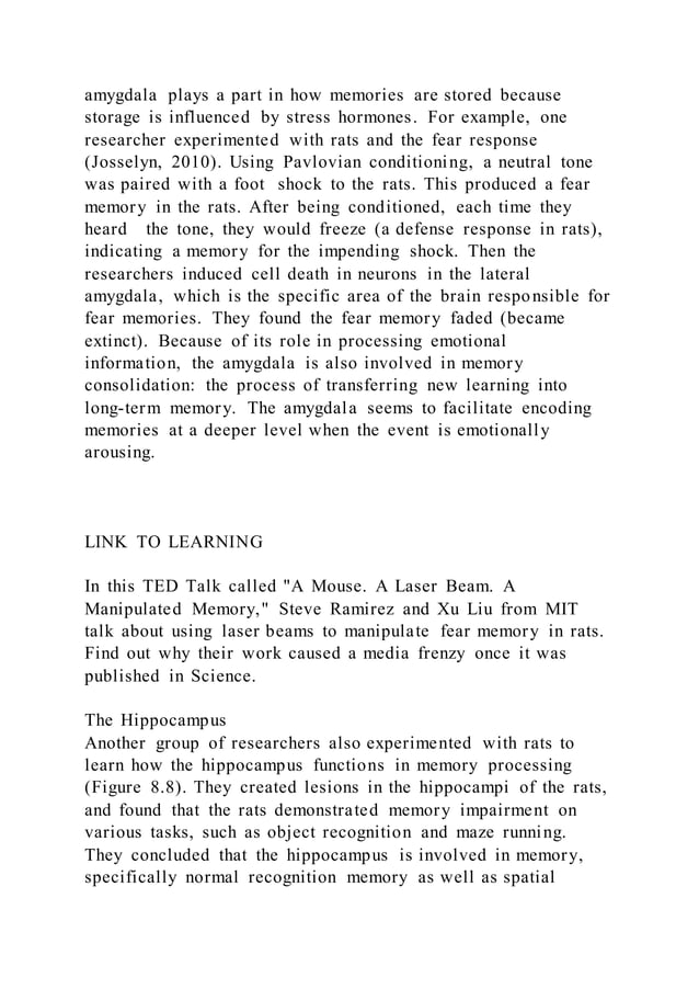 Chapter Outline8.1 How Memory Functions8.2 Parts of the Brain | DOCX | Internet for Beginners ...