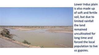 Chapter physical regions of pakistan | PPTX