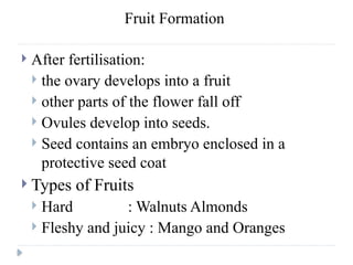 Reproduction in plant class 7 ppt21.pptx