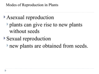Reproduction in plant class 7 ppt21.pptx