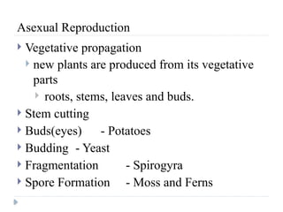 Reproduction in plant class 7 ppt21.pptx