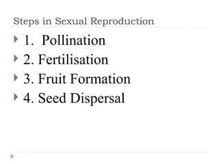 Reproduction in plant class 7 ppt21.pptx