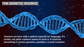The origins of language & Animals and human communication | PPTX