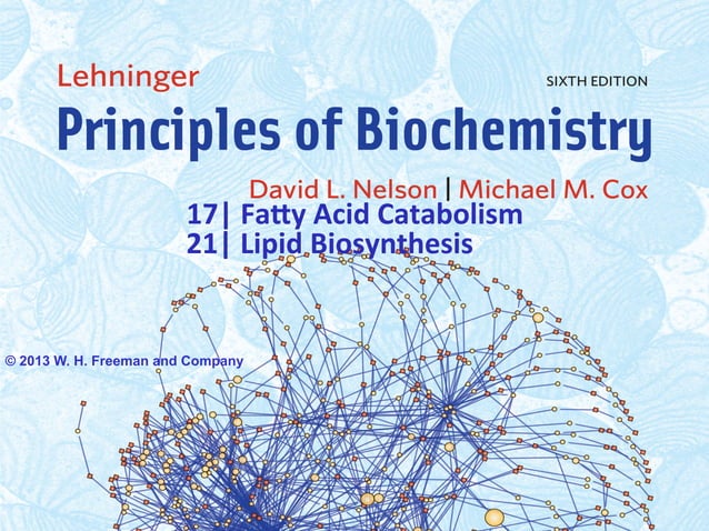 Chapters 17,21 Fatty acid catabolism , Lipid biosynthesis | PDF ...