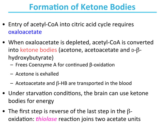 Chapters 17,21 Fatty acid catabolism , Lipid biosynthesis | PDF ...