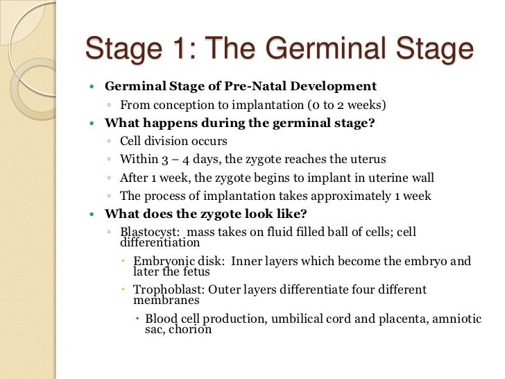Chapters 2 and 3 life span development