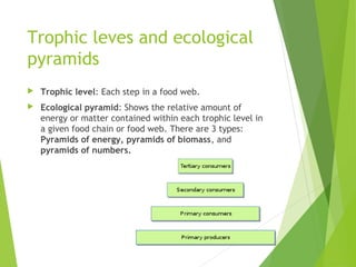 Chapters 3.3 3.4 | PPT