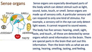 Chapter sensitivity in living organisms | PPTX | Gardening | Home & Garden