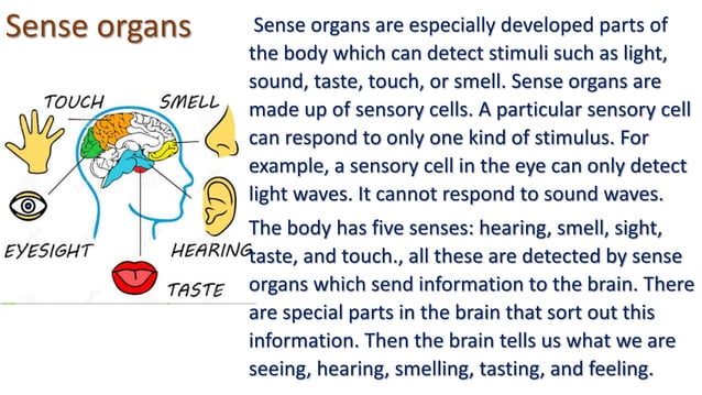 Chapter sensitivity in living organisms | PPTX | Gardening | Home & Garden