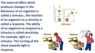 Chapter sensitivity in living organisms | PPTX