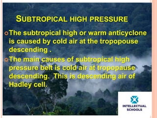 Tropical Climate | PPTX