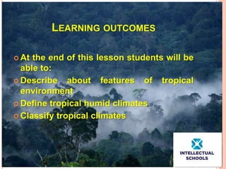 Tropical Climate | PPTX