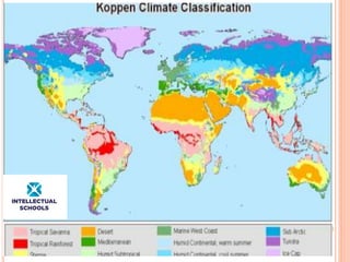 Tropical Climate | PPTX