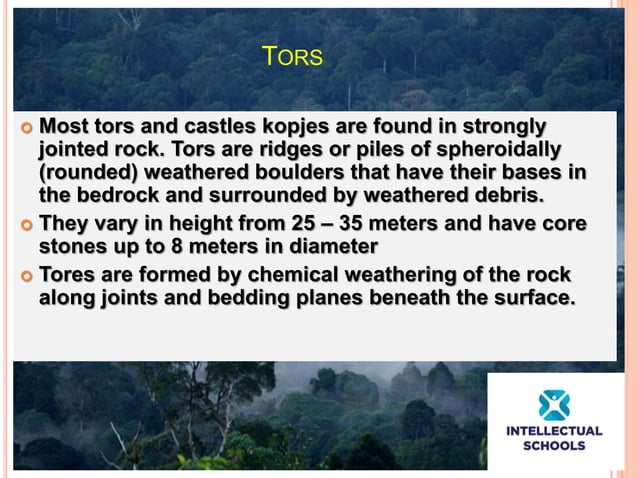 LAND FORM OF TROPICAL ENVIRONMENT | PPTX | Geology | Science