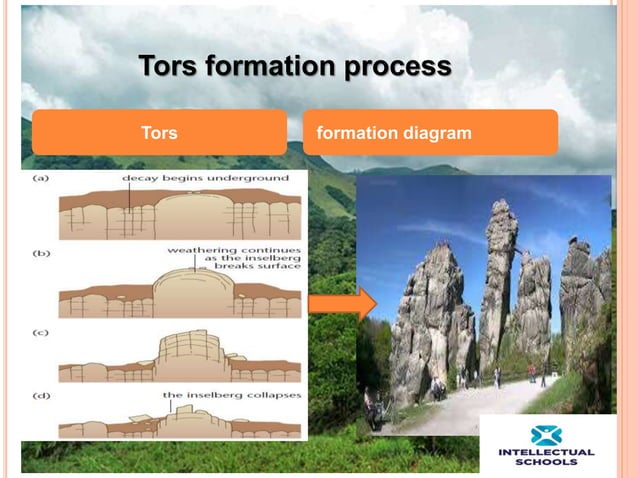 LAND FORM OF TROPICAL ENVIRONMENT | PPTX | Geology | Science